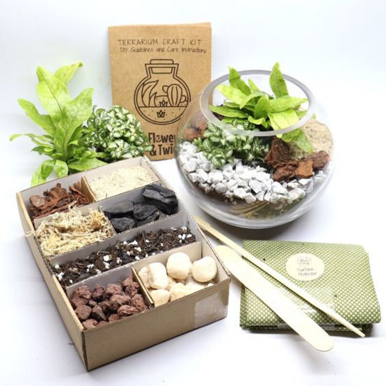 Craft Your Own Green Oasis With Our DIY Plant Terrarium Kits Everything ...