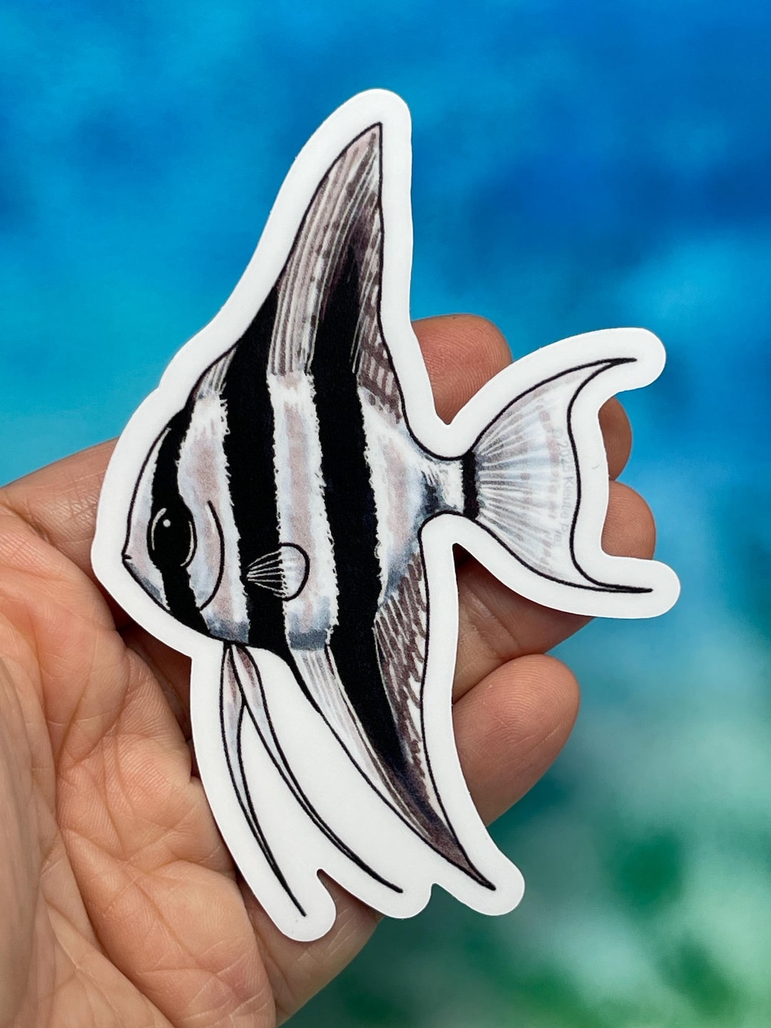 Angelfish Vinyl Sticker - Weatherproof - Etsy