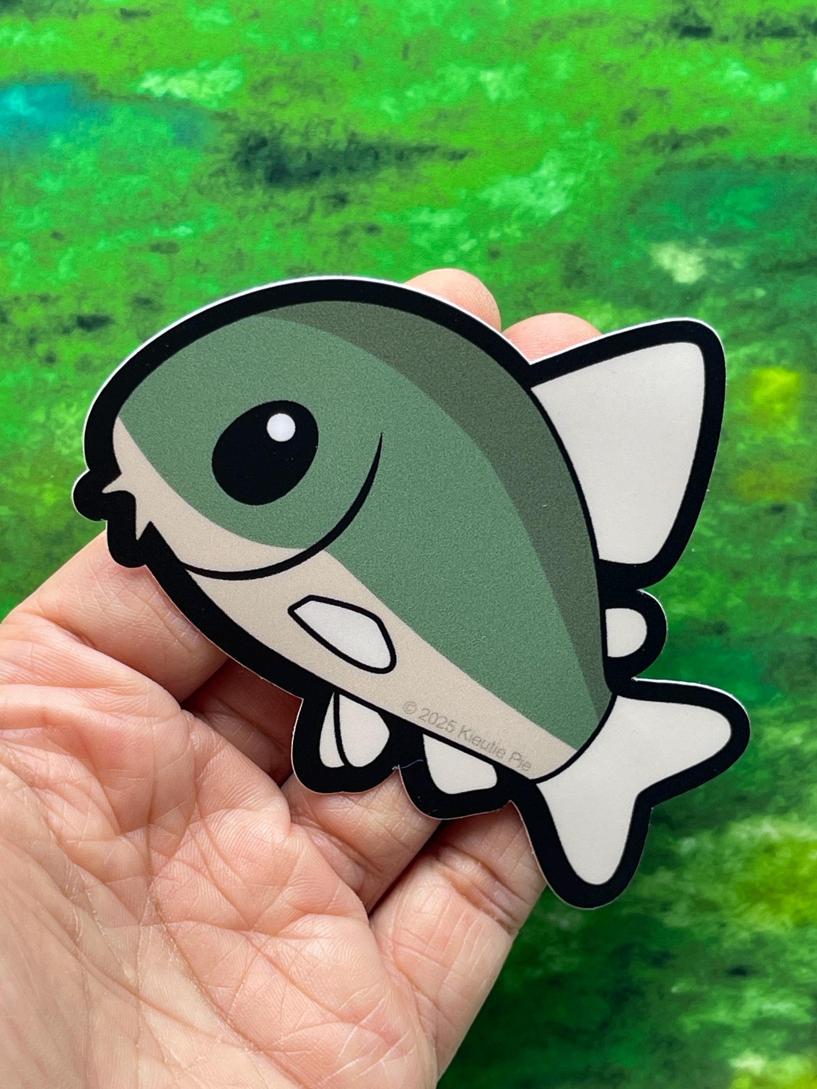 Bronze Corydora Catfish Vinyl Sticker - Weatherproof - Etsy