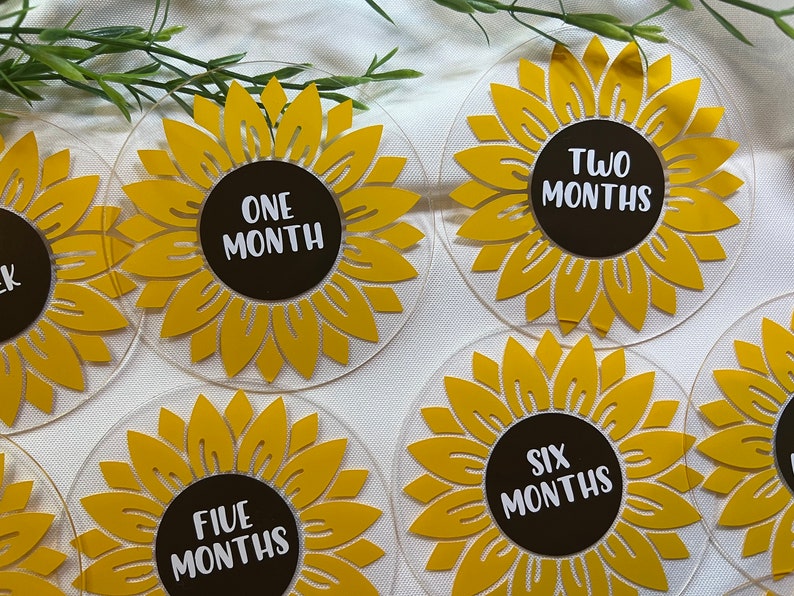 Acrylic Baby Milestones Discs|sunflower Baby Photo Prop|newborn Giftset ...