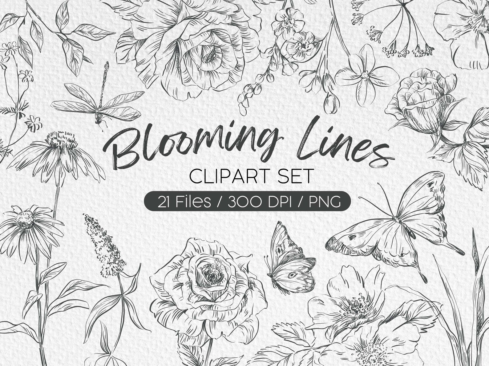 Blooming Lines, Flower Digital Clipart, Brush Stroke, Floral Elements ...