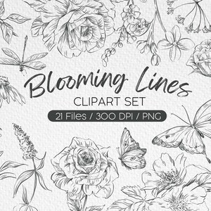 Blooming Lines, Flower Digital Clipart, Brush Stroke, Floral Elements ...