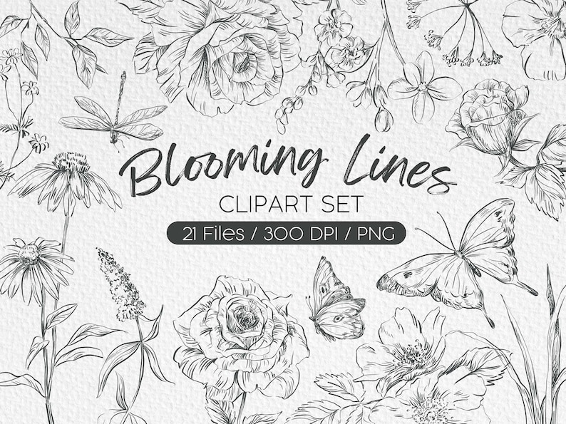 Blooming Lines, Flower Digital Clipart, Brush Stroke, Floral Elements ...