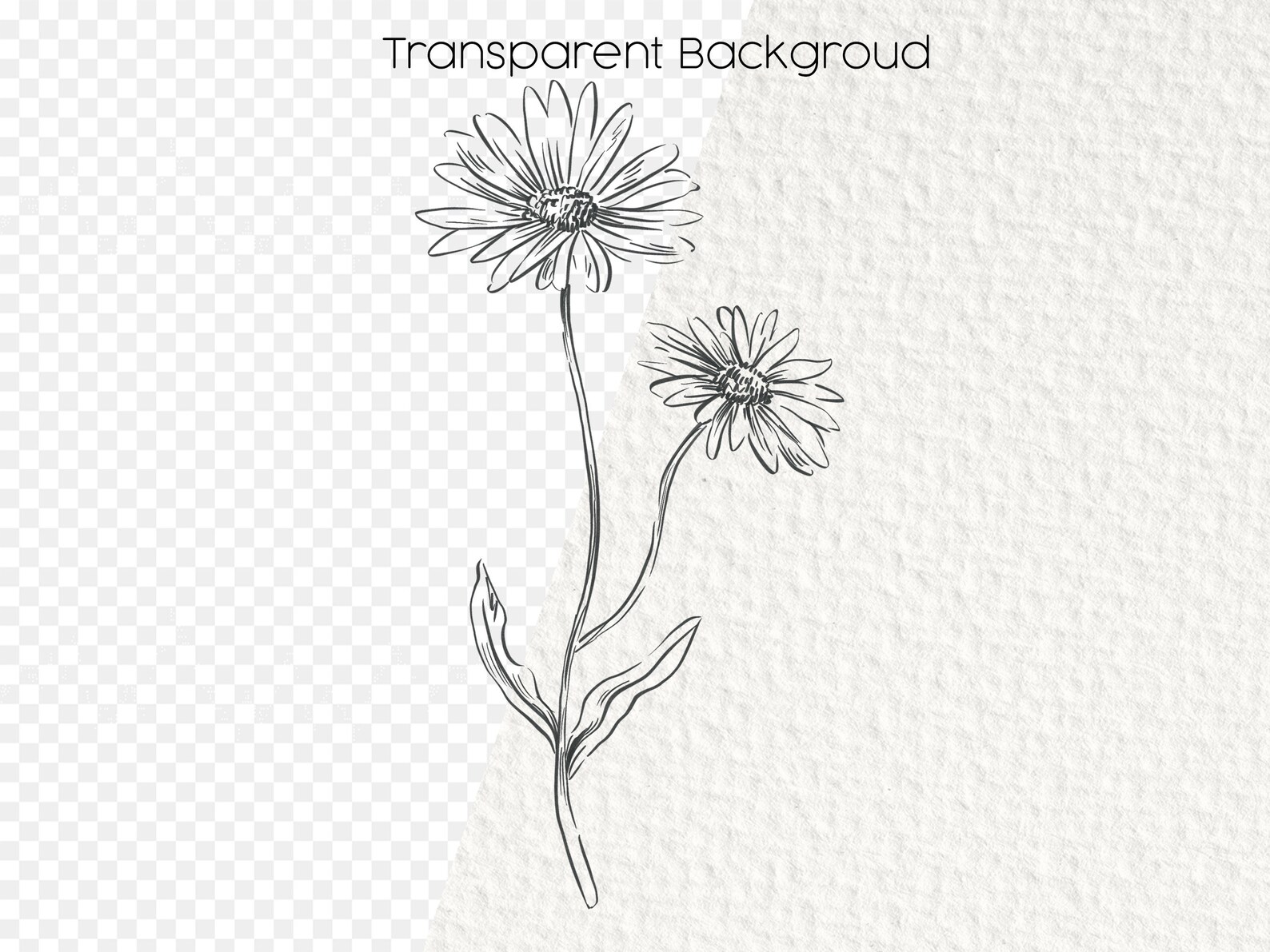 Blooming Lines, Flower Digital Clipart, Brush Stroke, Floral Elements ...