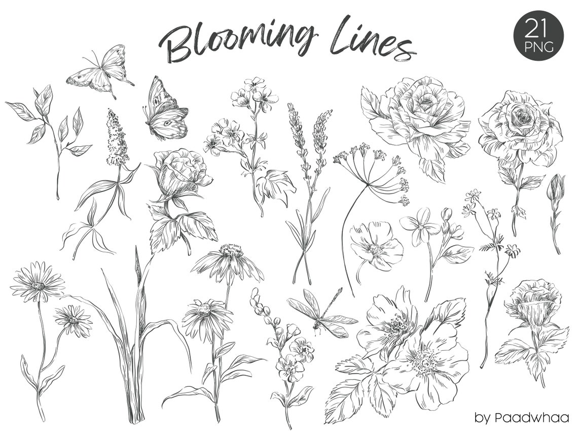Blooming Lines, Flower Digital Clipart, Brush Stroke, Floral Elements ...