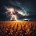 Lightning Strikes Over Corn Field - Digital Download - Landscapes ...