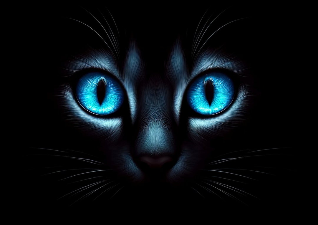 Blue Cats Eyes - Digital Download - Animals - Cats - 300 Dpi - Sizes ...