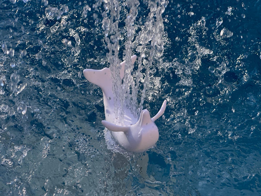 Dolphin Pool Bubbler: Water Feature for Sun Shelf, Baja Ledge - Artista ...