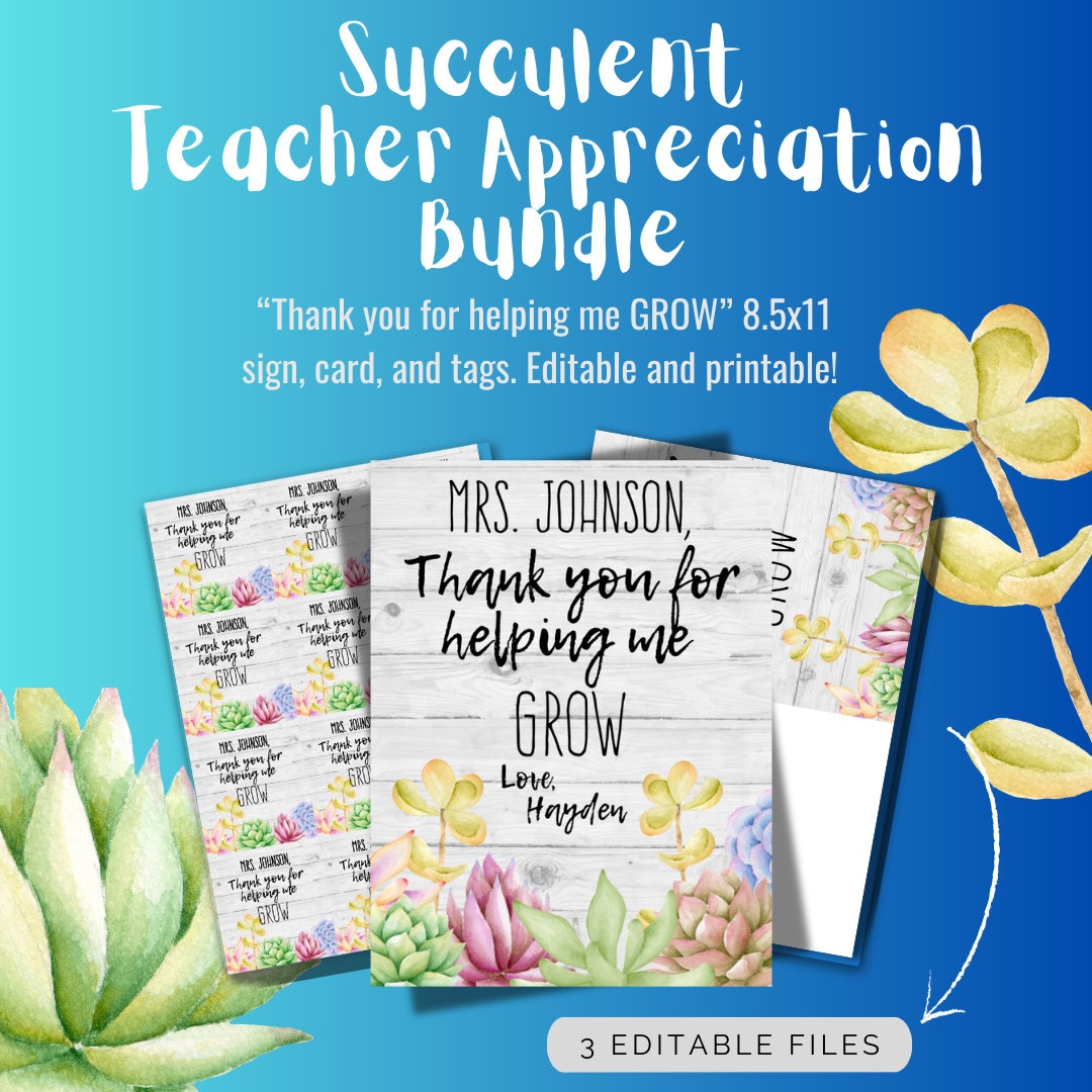 Succulent Teacher Appreciation Bundle, White Wood Background, Thank You ...