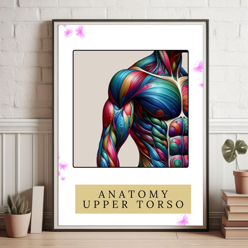 Wall Decor, 5 Printable Muscular System Anatomy Art Medical Decor ...