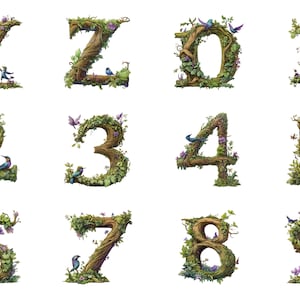 Avian Garden Alphabet PNG – 36 Letters & Numbers | High-res ...