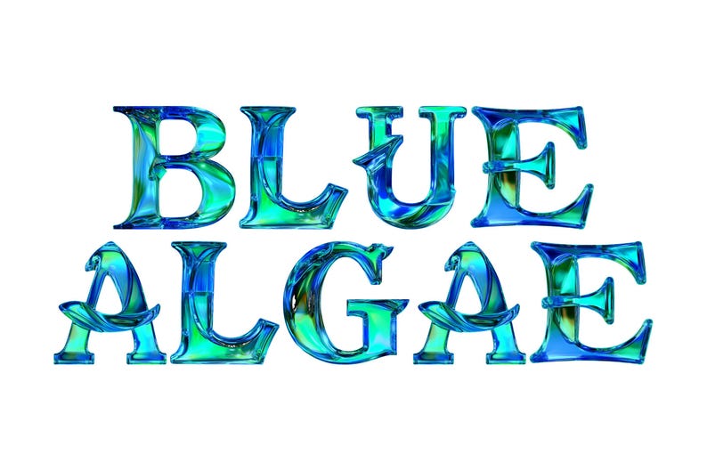 Algae Glass Alphabet PNG – 36 Letters & Numbers | High-res, Transparent ...