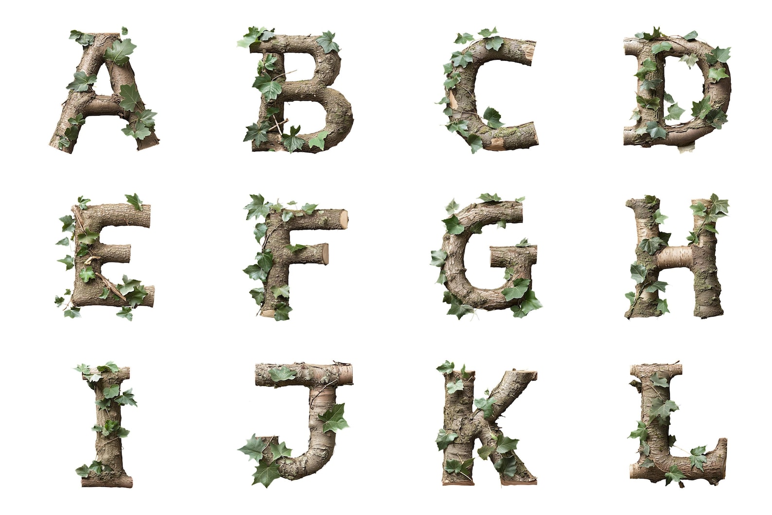 Tree Branch Alphabet PNG – 36 Letters & Numbers | High-res, Transparent ...