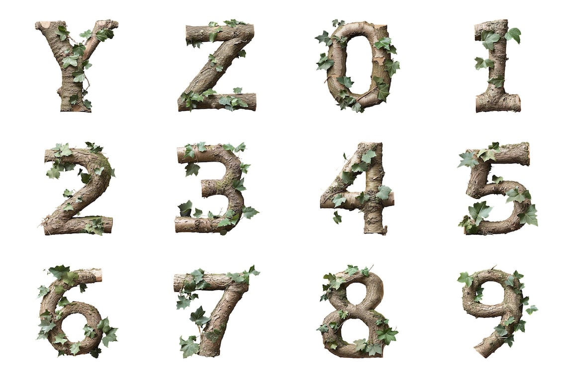 Tree Branch Alphabet PNG – 36 Letters & Numbers | High-res, Transparent ...
