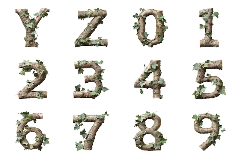 Tree Branch Alphabet PNG – 36 Letters & Numbers | High-res, Transparent ...