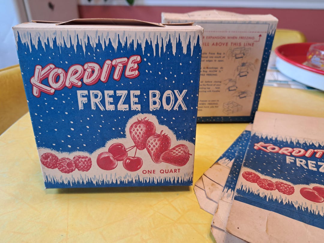 Vintage 1958 Kordite Freze Box - Freezer Box - Food Storage - Vintage ...