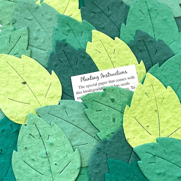 Leaf Shaped Cards - Etsy