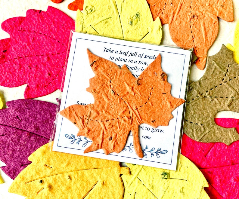 12 Leaf Seed Paper Wedding Favor Seed Envelopes Seed Paper - Etsy