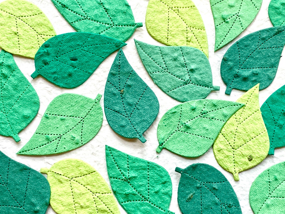50+ Flower Seed Paper Leaves - Etsy