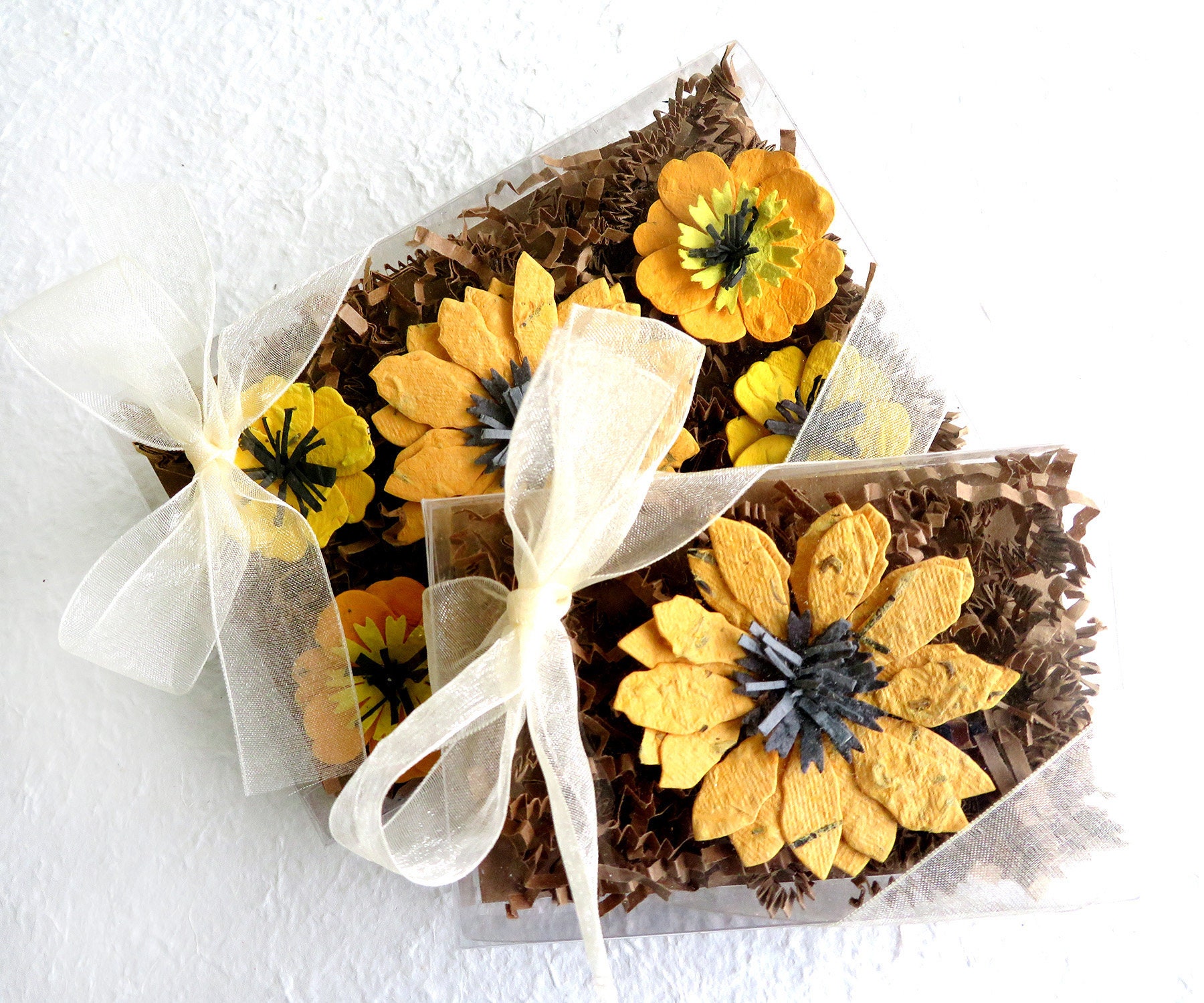 Yellow Seed Paper Sunflowers Gift Box Set Black-Eyed Susans | Etsy