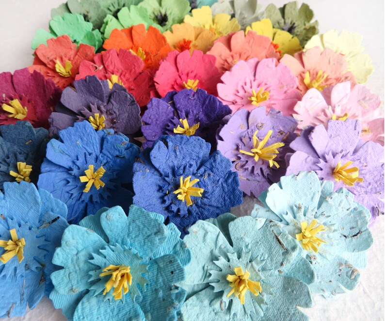 Handmade Seed Paper Flowers - Anemonies Poppies Carnations - Your ...