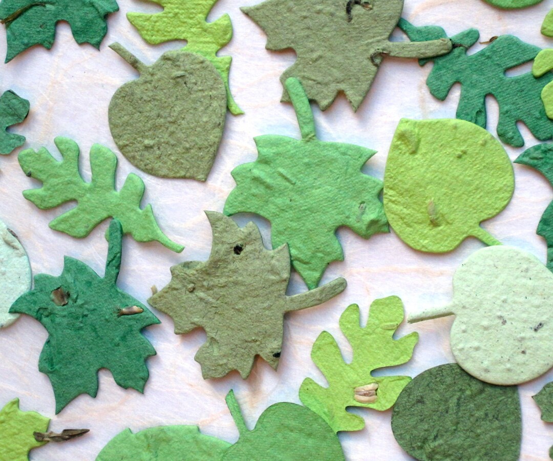 100 Flower Seed Paper Confetti Leaves - Etsy