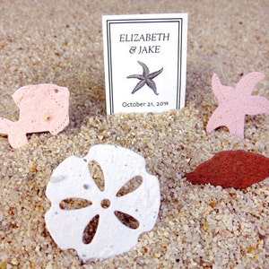 Flower Seed Paper Shells Confetti Sand Dollars Starfish - Beach Wedding ...
