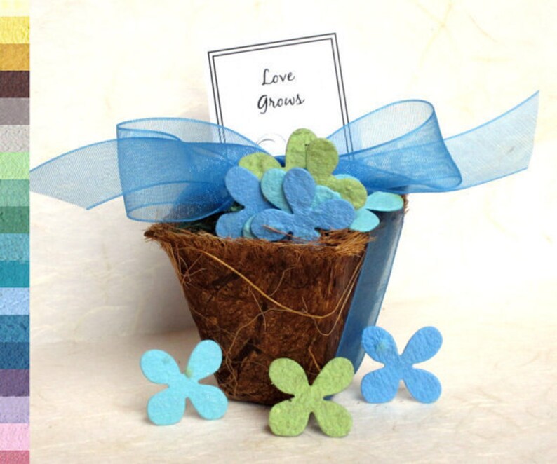 12 Seed Wedding Favors Plantable Pots and Confetti Seed | Etsy