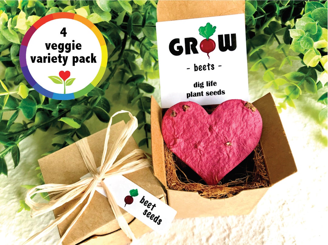 Vegetable Seed Planting Kit - Your Choice Seeds - Grow Your Own Veggies ...
