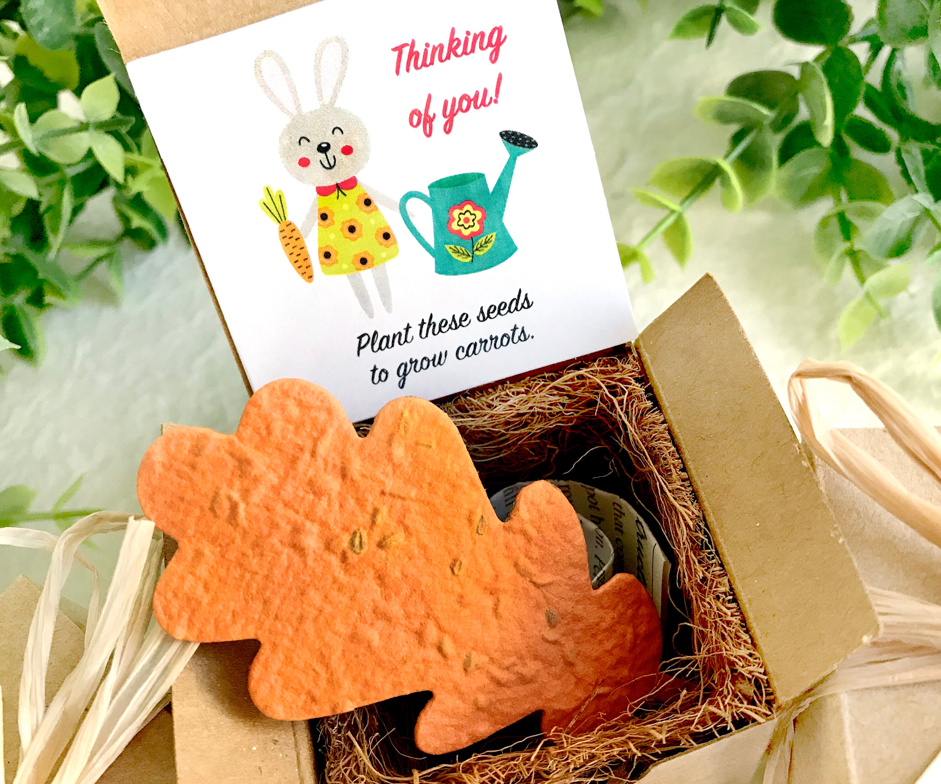Carrot Seed Paper Gift Box Homeschool Gardening Kit Grow | Etsy