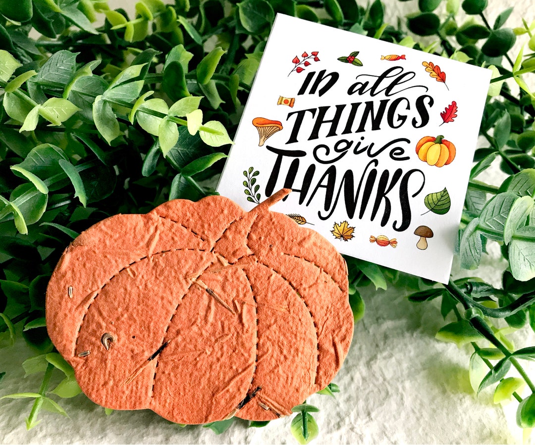 10 Thanksgiving Seed Paper Pumpkin Place Cards Give Thanks Fall Table ...