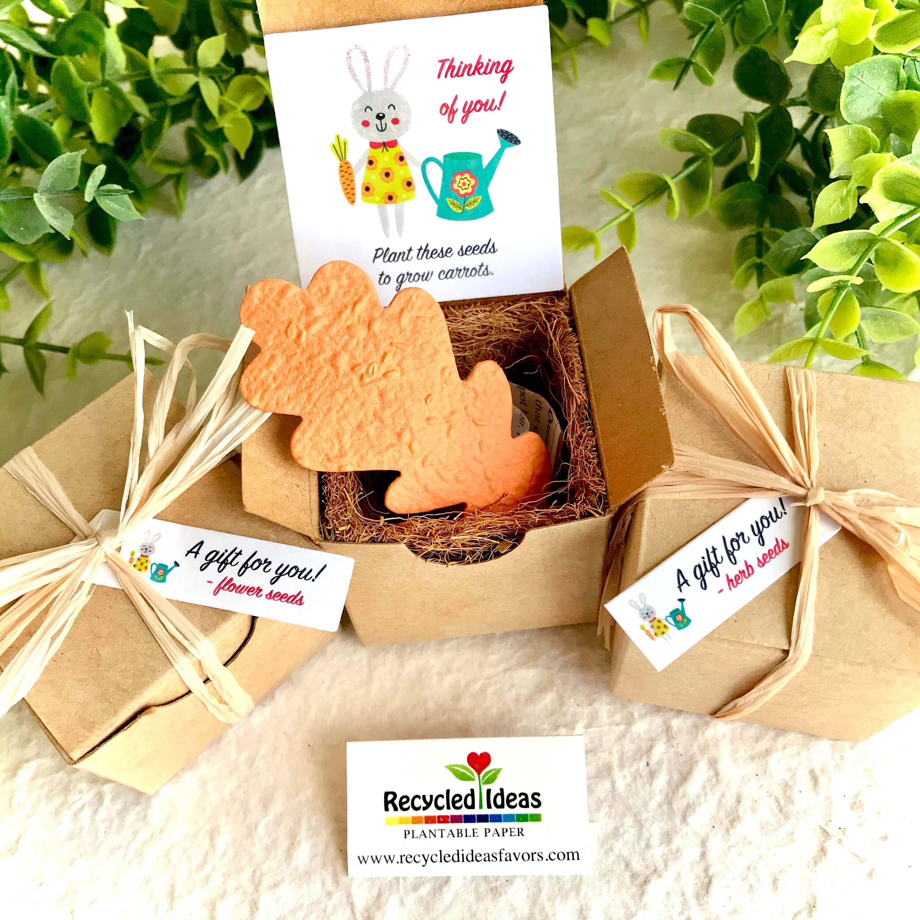 Carrot Seed Paper Gift Box Homeschool Gardening Kit Grow | Etsy