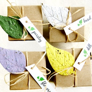 Tomato Seeds Paper Gardening Gift Box Kit With Pot - Mother's Day ...