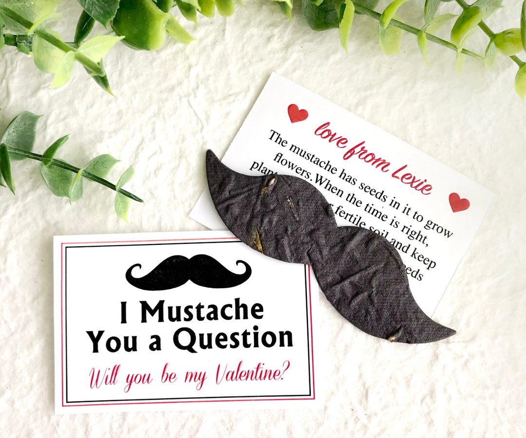 24 Seed Paper Mustache Valentines for Kids School Valentine's Day Party ...