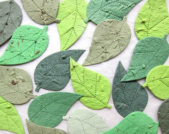 10 Green Flower Seed Birch Leaf Plantable Paper Leaves | Etsy
