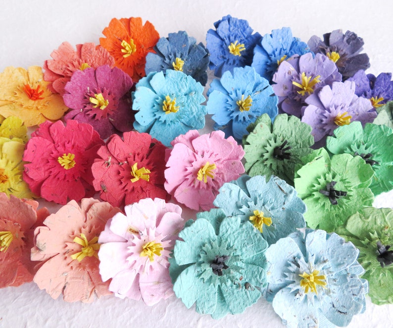 Handmade Seed Paper Flowers Anemonies Poppies Carnations | Etsy