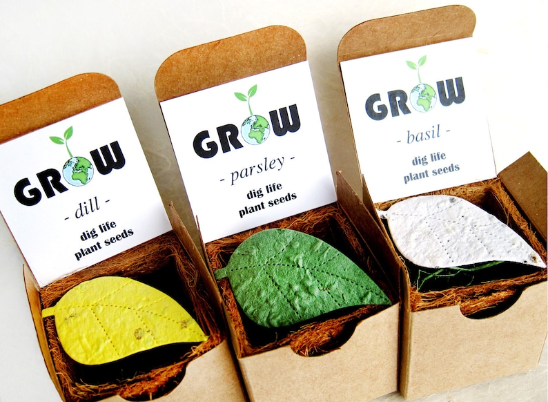 Tomato Seeds Paper Gardening Gift Box Kit With Pot - Etsy