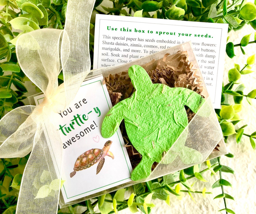 Plantable Turtle-y Awesome Seed Paper Gift Box - First Anniversary Gal ...