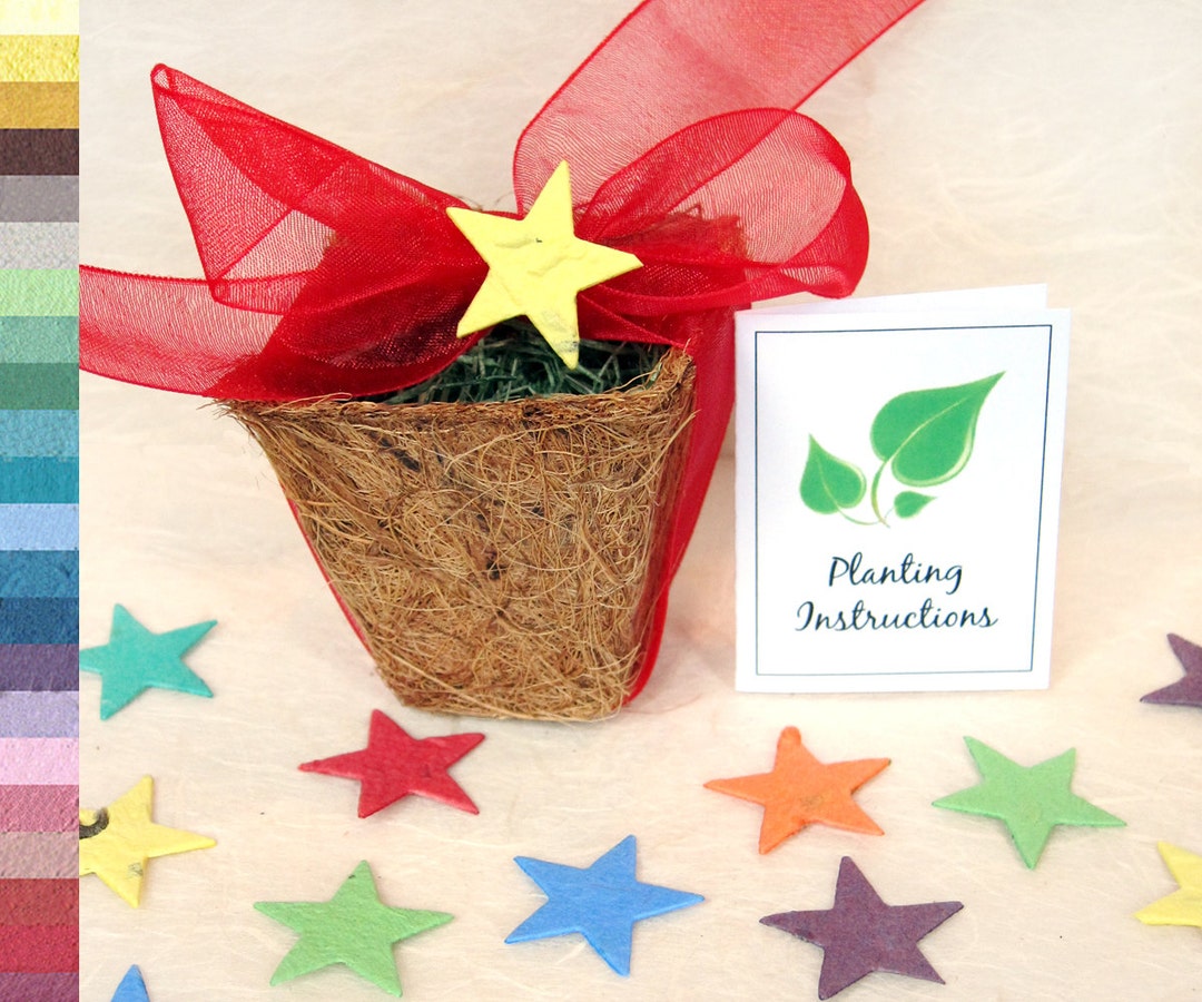 12 Seed Wedding Favors - Plantable Pots and Confetti Seed Paper - Love ...