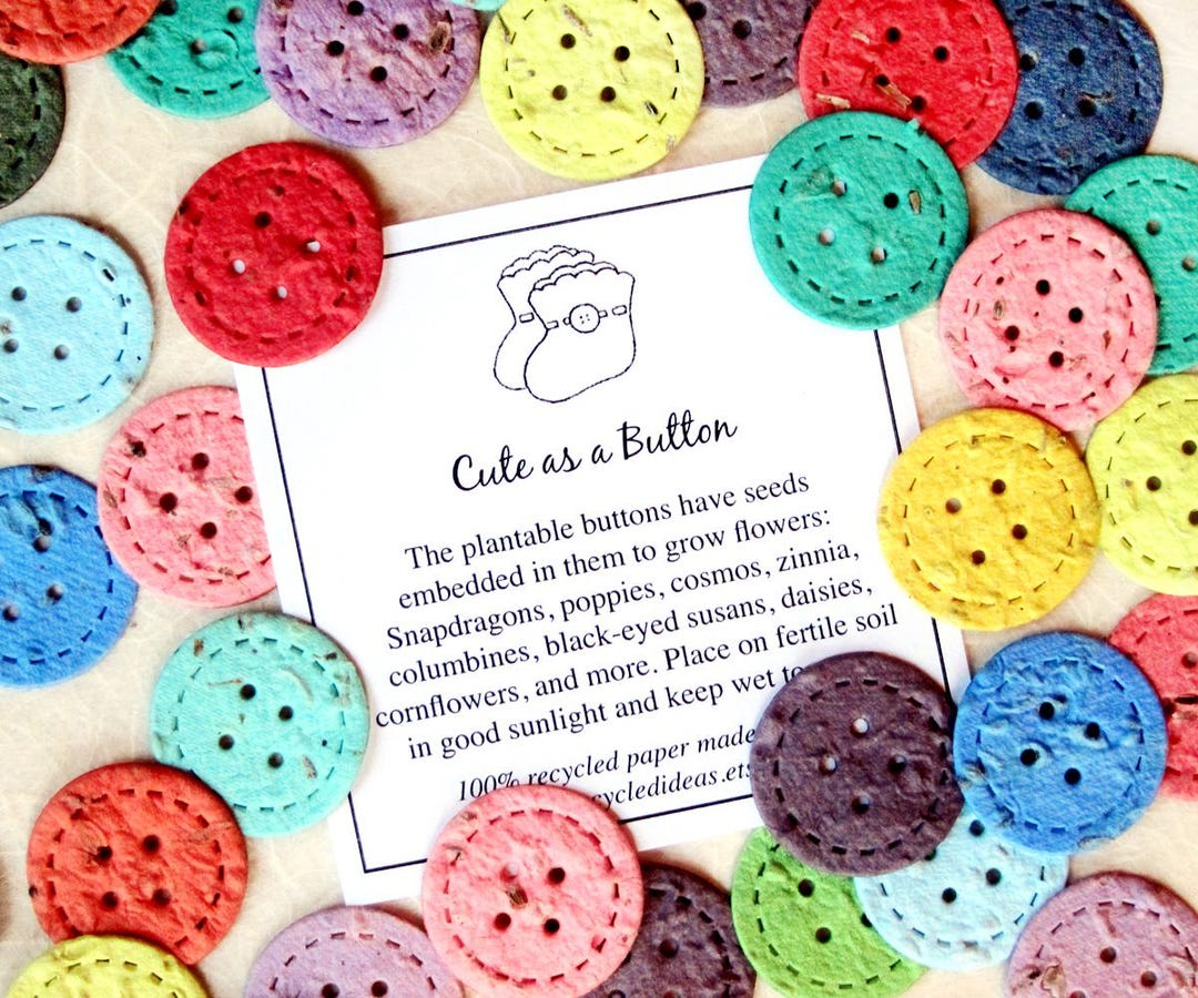 12+ Flower Seed Paper Confetti Buttons - Package Set With Cards - Etsy