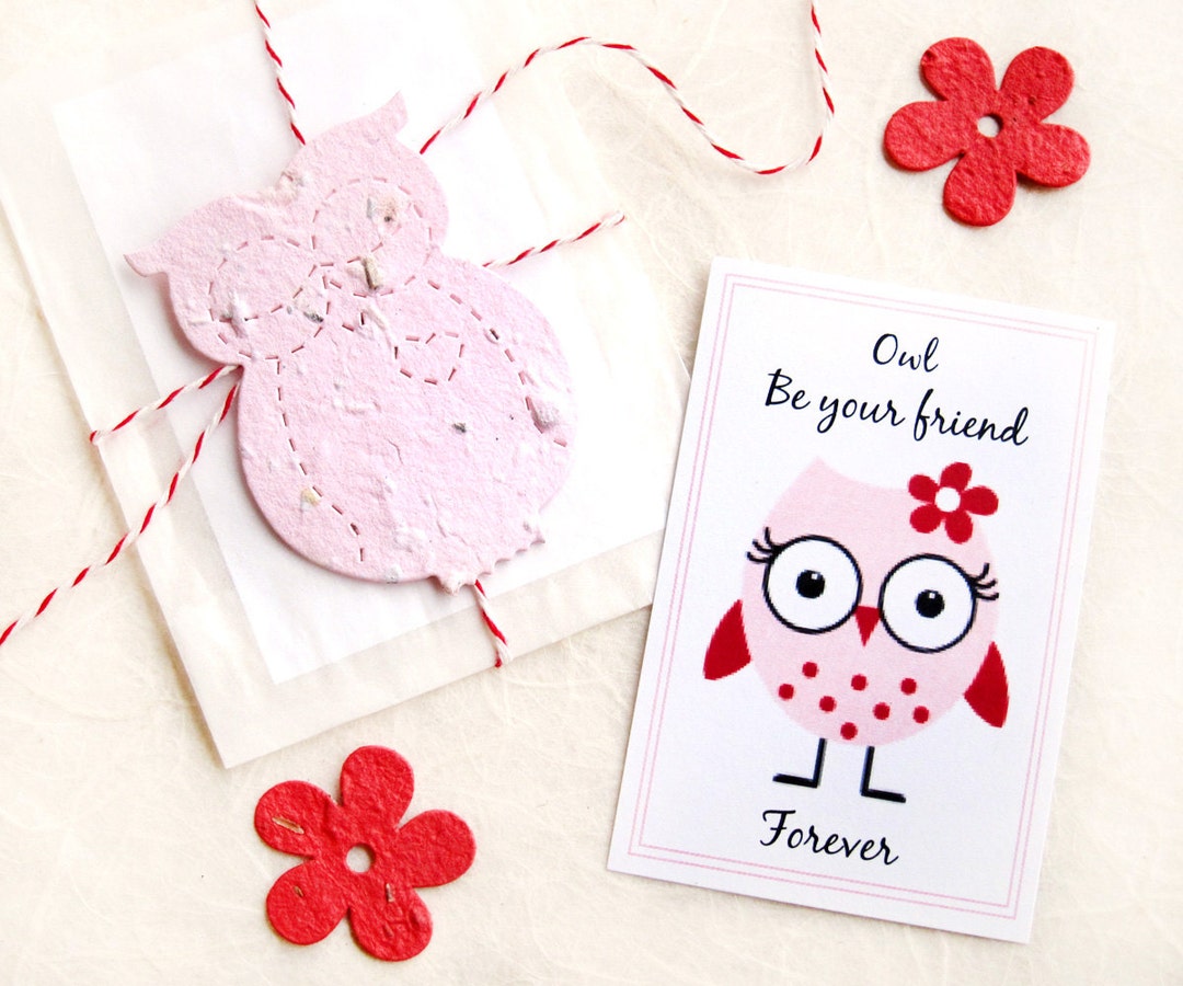 24 Plantable Owls Kid Valentines Flower Seed Kids Classroom Valentines ...