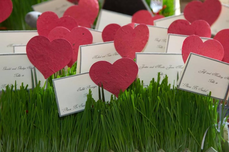 50 Please Be Seeded Place Cards Flower Seed Paper PDF - Etsy