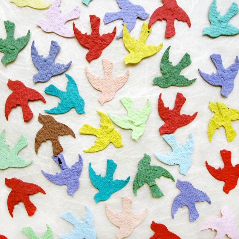 Bird Confetti - Etsy