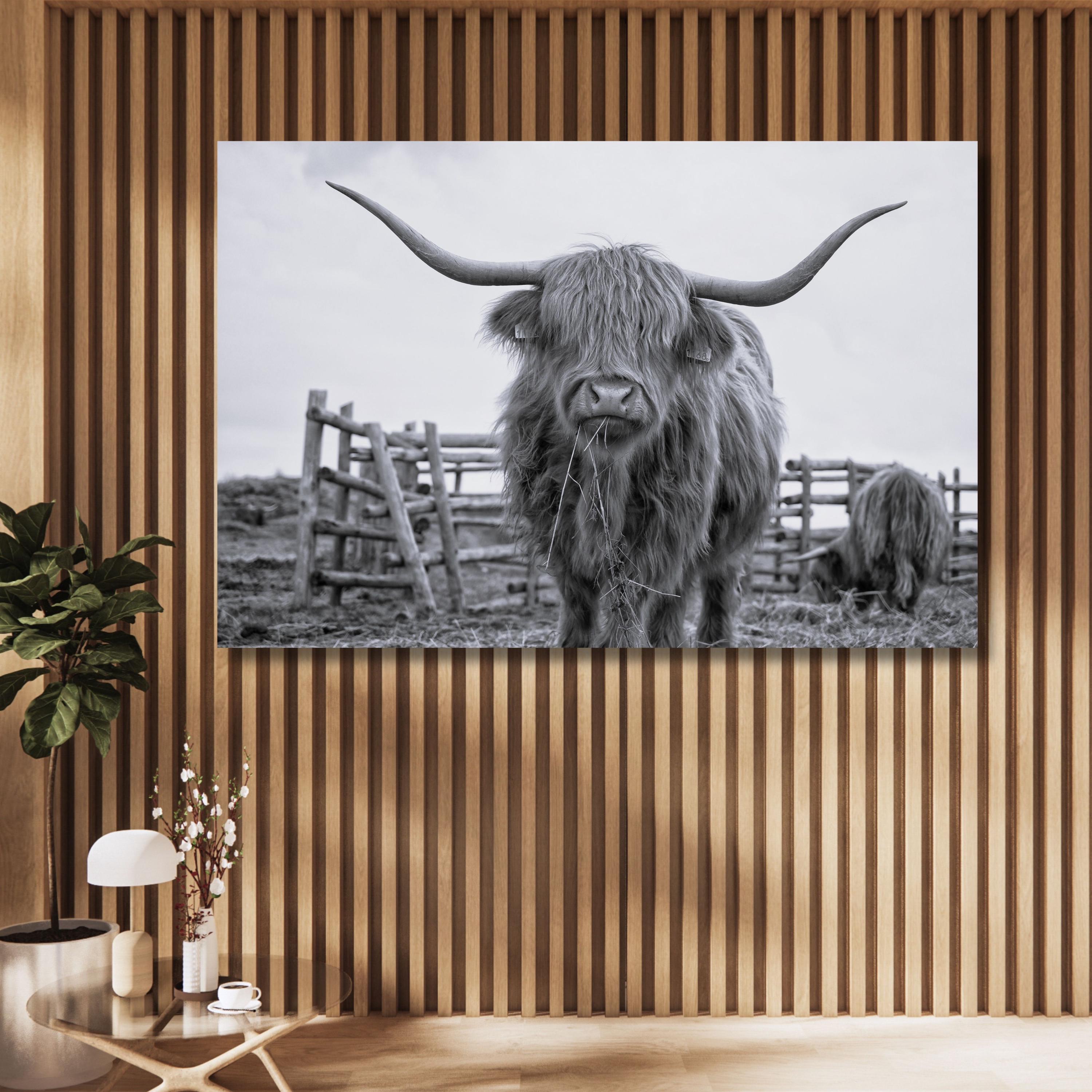 Highland Cow Wall Art,highland Cow Canvas,american Buffalo Print ...
