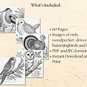 60 Bird Coloring Pages Printable Download - Fun Animal Designs for Kids ...