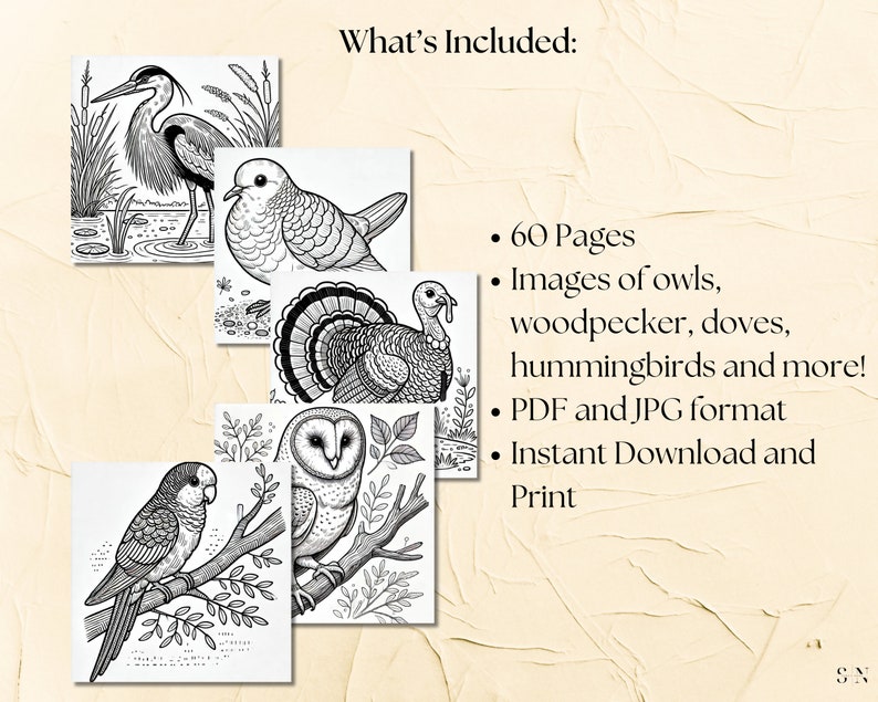 60 Bird Coloring Pages Printable Download - Fun Animal Designs for Kids ...
