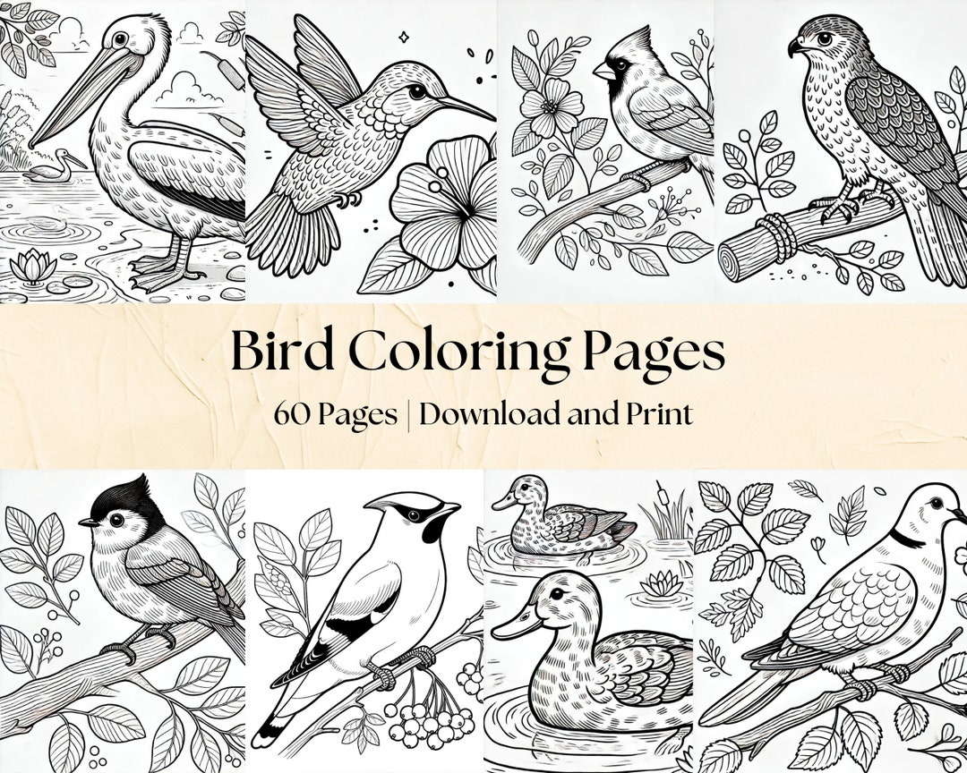 Bird Coloring Pages Swan Cardinal Dove Hawk Owl Duck School Home ...