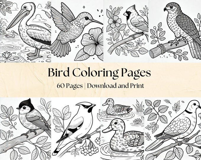 60 Bird Coloring Pages Printable Download - Fun Animal Designs for Kids ...