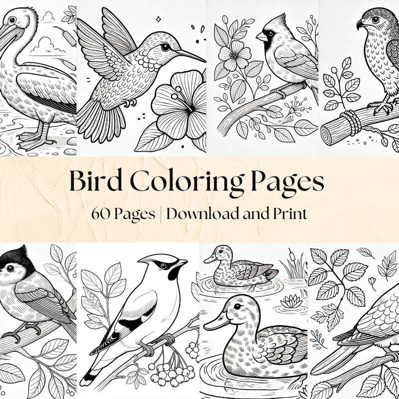 Printable Bird Art - Etsy