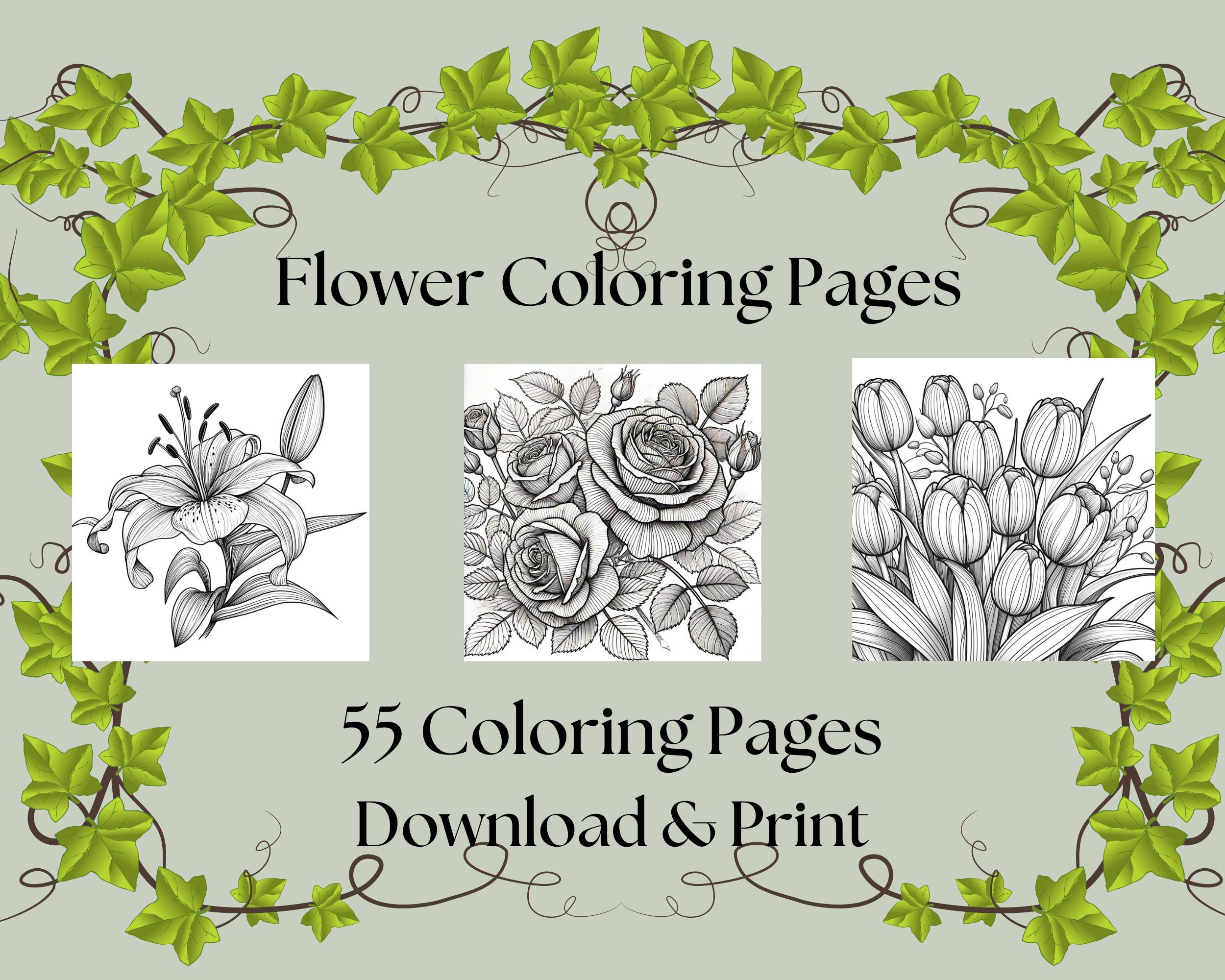 55 Flower Coloring Pages | Nature Coloring Pages | Roses, Lilies ...